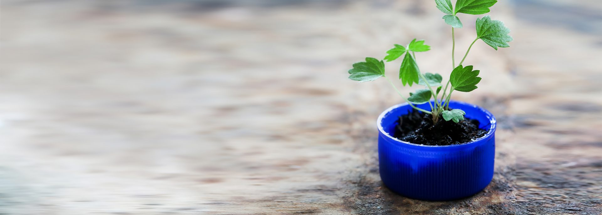 Caps & Closures For Tubes - Montebello Packaging